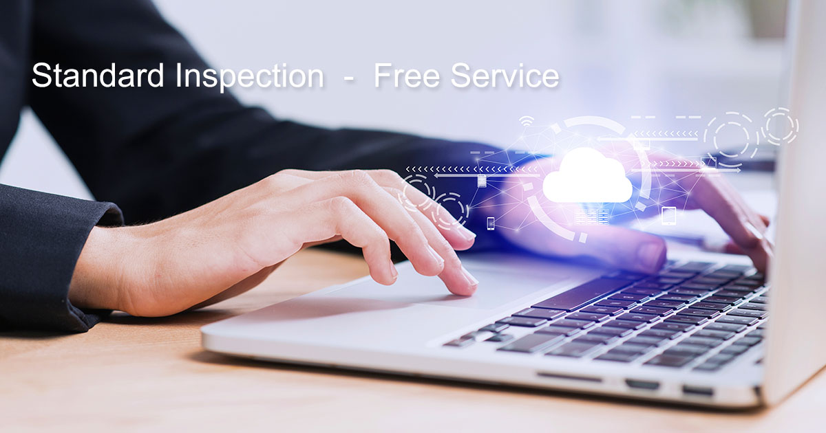 Free service, Standard inspection service, examine goods process